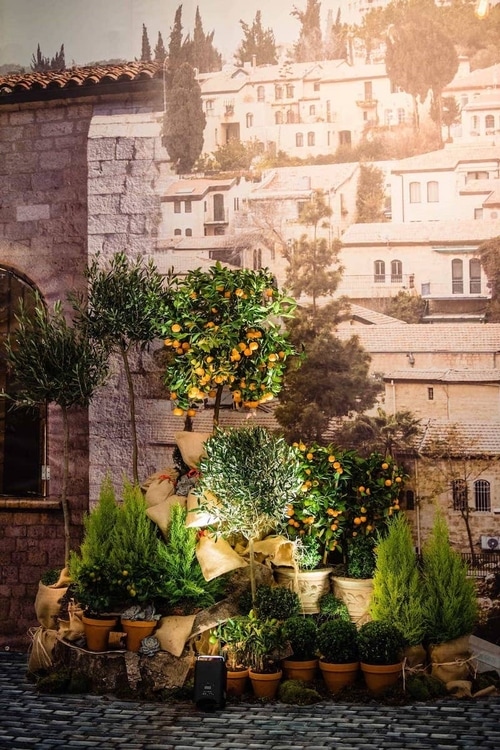 Gallery - Tony Page Ltd