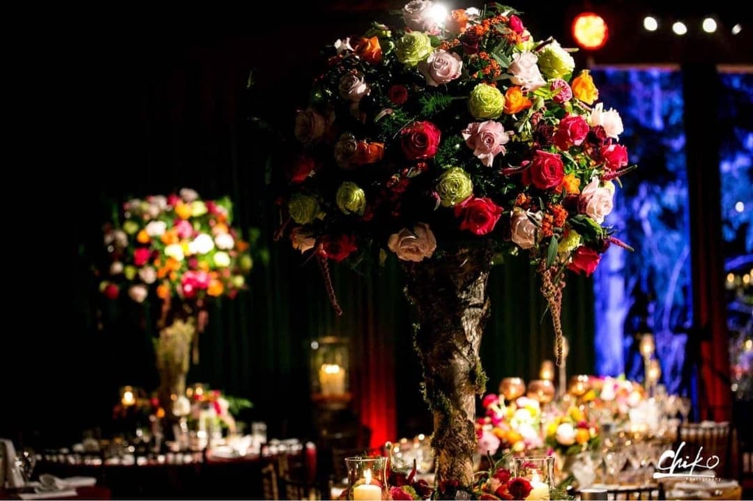 Gallery - Tony Page Ltd